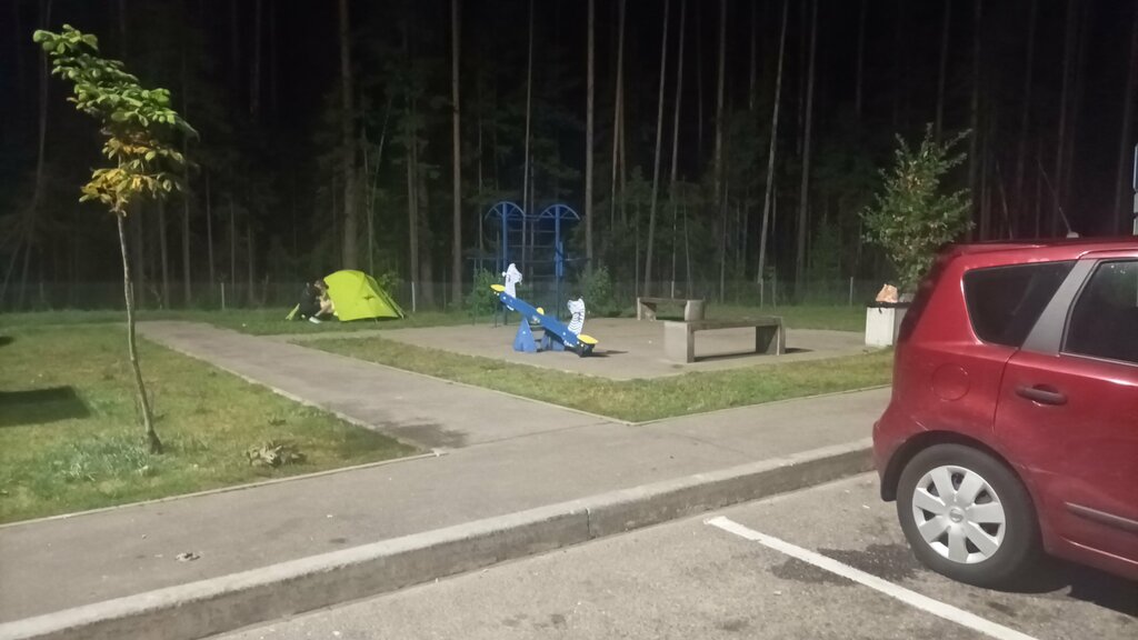 Yol kenarı dinlenme alanı Придорожная зона отдыха, Moskova ve Moskovskaya oblastı, foto
