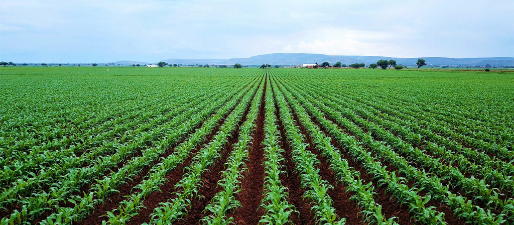 Sulama ekipmanları AgroTec, La Paz, foto