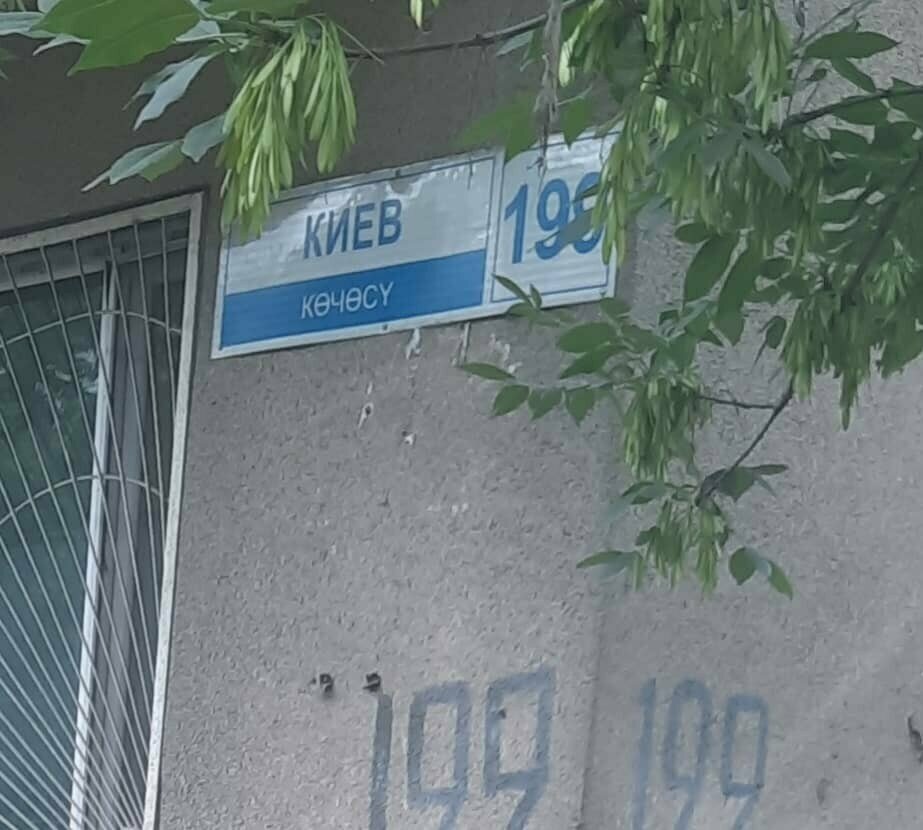 Aracı şirketler Ringotrade, Bişkek, foto