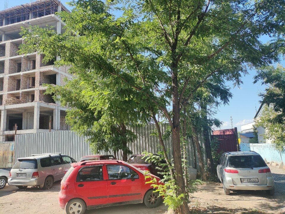 Balık ve deniz ürünleri Живая форель, Bişkek, foto