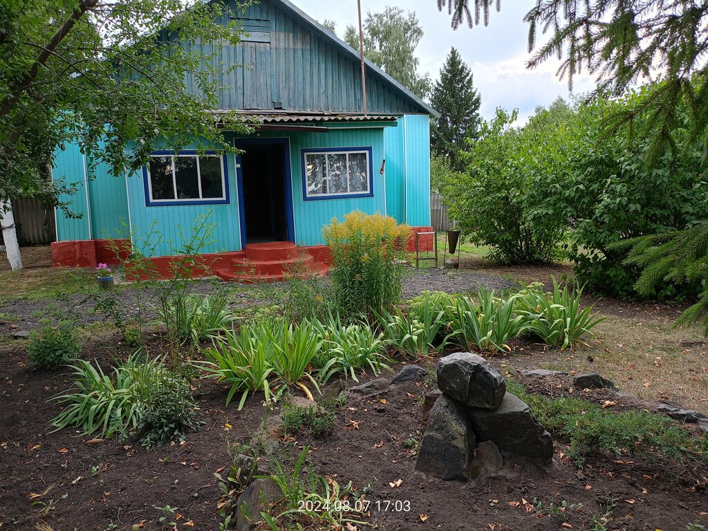 Orman işleri Оку Губкинское лесничество, Belgorodskaya oblastı, foto