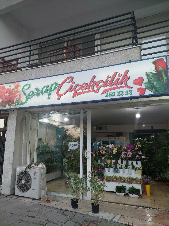 Çiçekçiler Serap Çiçekçilik, İzmir, foto