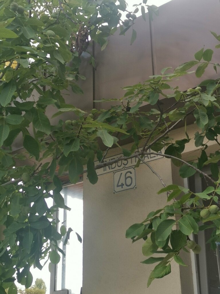 Sigorta acentaları Broker Avd, Kişinev, foto