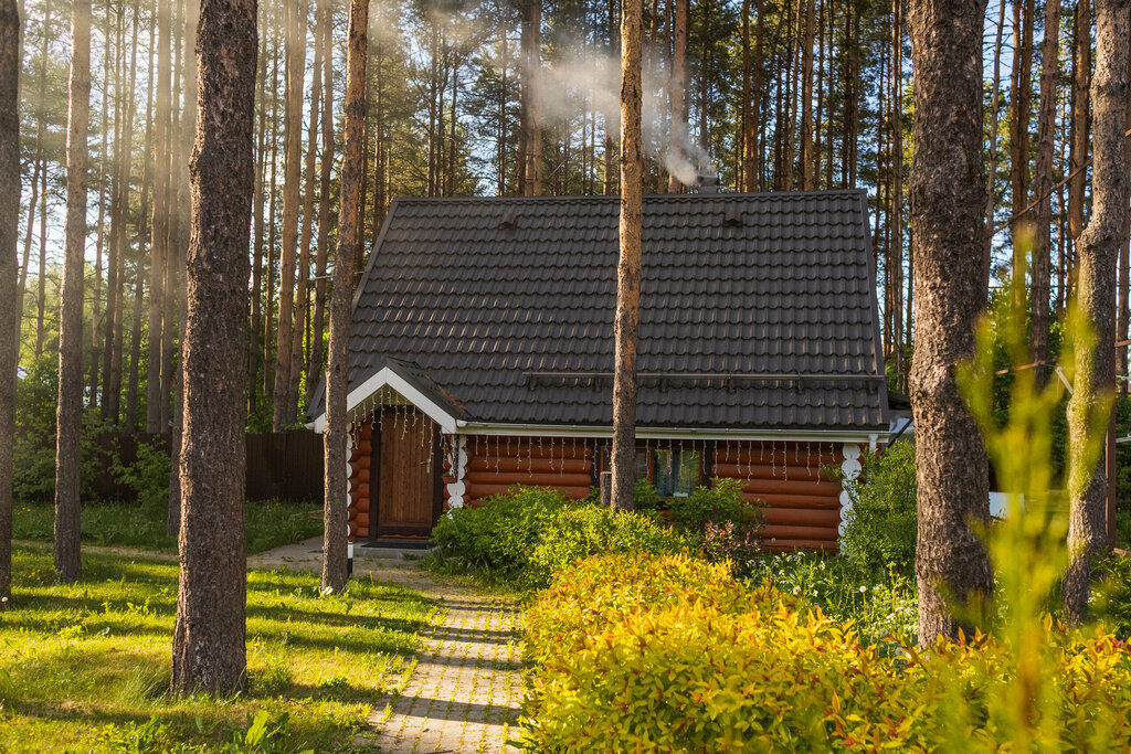 Tatil köyleri Forest harbor, Vsevolgsk, foto