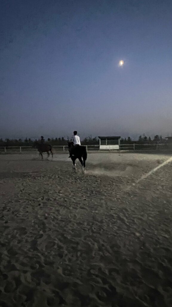 At ve binicilik kulüpleri Turon Tulporlari, , foto
