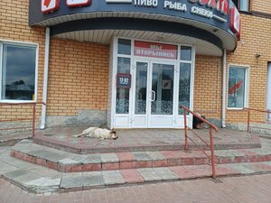 Пенная бухта (50 Let NLMK Street No:13А), bira dükkanı  Lipetsk'ten