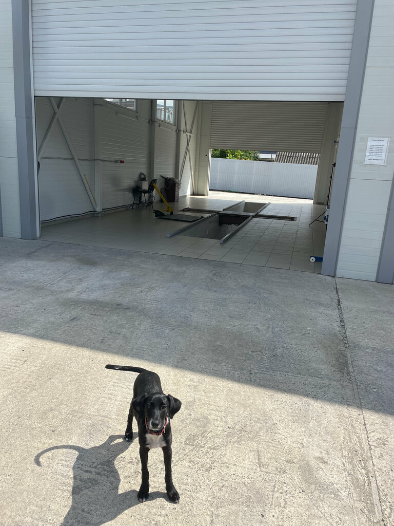 Araç muayene istasyonları Энергия-Сервис, Novorossiysk, foto