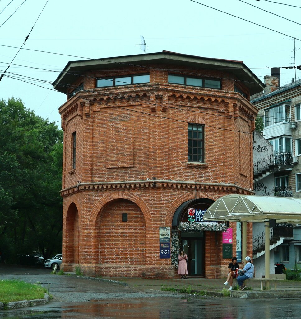 Turistik yerler Водонапорная башня, Habarovsk, foto