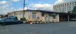 CoffeeBoom (Petrovskaya Kosa No:3Д), kahve makinelerinin onarımı  Saint‑Petersburg'dan