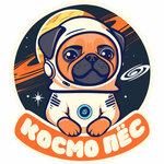 Cosmopes (8 Marta Street No:48к1), evcil hayvan kuaförleri  Liubertsy'den