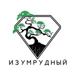 Izumrud036 (gorodskoy okrug Voronezh, Zheleznodorozhniy District), sera ve bahçe ürünleri  Voronej'den