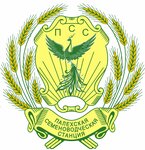 Palekhskaya semenovodcheskaya stanciya (Dzerzhinskogo Street No:39), tohum üretimi  İvanovo'dan