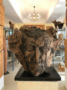 A. Pushkin's Museum-reserve (Moscow Region, Odintsovskiy Urban District, Urban-type Settlement of Bolshie Vyazyomy), müzeler ve sanat galerileri  Moskova ve Moskovskaya oblastından