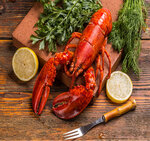 Gourmet Seafood Solutions (4, N401 Street, Mena Jabal Ali, Jebel Ali, Dubai), balık ve deniz ürünleri  Dubai'den