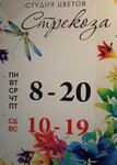 Dragonfly (Proletarskaya Street No:16), çiçekçiler  Kondopoga'dan