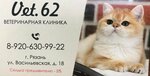 Vet. 62 (Vasilyevskaya Street No:18, Pesochnya District, Ryazan), veteriner klinikleri  Riazan'dan