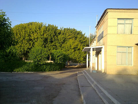 Ortaokul School No. 5, , foto