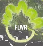 Flwr. Su (ulitsa Komarova No:2к1), çiçekçiler  Mytişçi'den