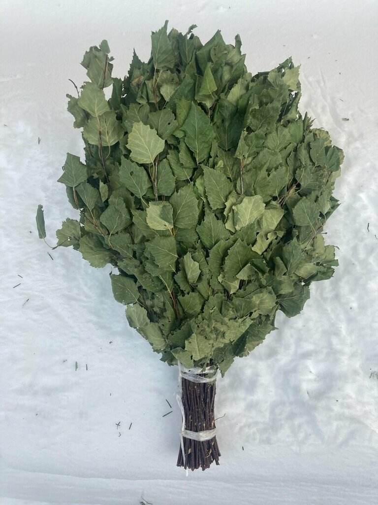 Hamam ve sauna ürünleri Банные веники, Tiumen, foto