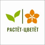 Rastet Cvetet (Leninskogo Komsomola Street No:3Б), çiçekçiler  Riazan'dan