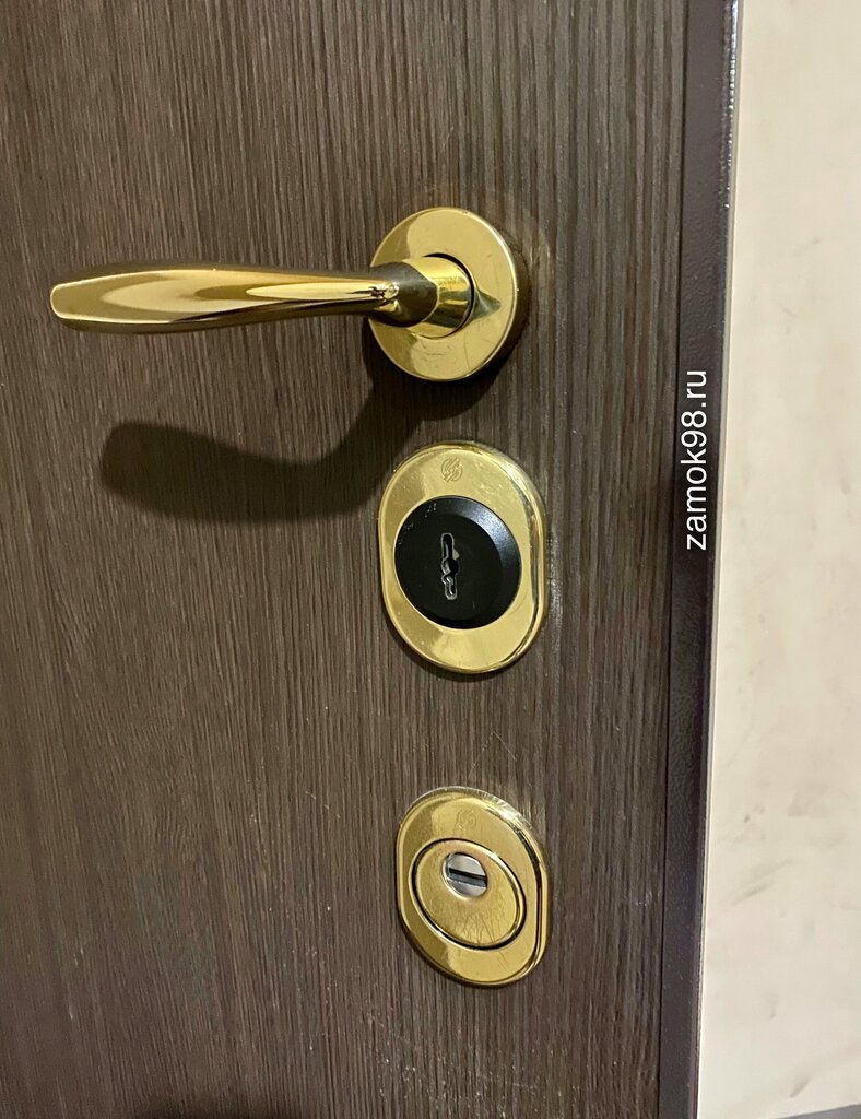 Çilingirler Zamok98, Saint‑Petersburg, foto