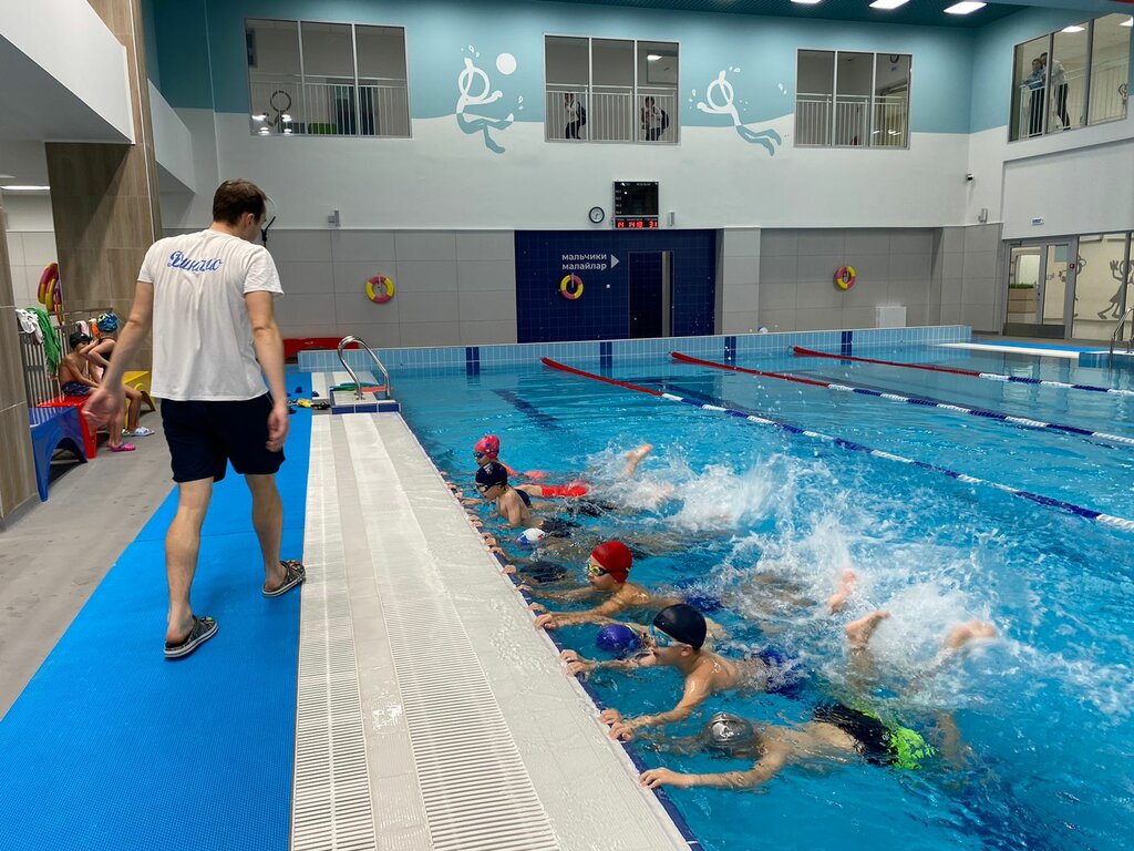Yüzme havuzları Секция плавания, Kazan, foto