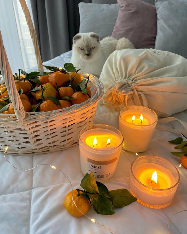 Ev eşyası mağazaları Candles māmā, Moskova, foto