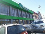 Grand Korea Motors (Rashıdov kóshesi No:17), oto lastik tamiri  Çimkent'ten (Şımkent'ten)