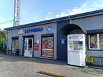 Каролина (ulitsa Ivana Zemnukhova No:52), market  Kaliningrad'dan
