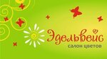 Эдельвейс (ulitsa 60 let Oktyabrya No:18В), çiçekçiler  Niandoma'dan