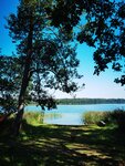 Турстоянка Козловка (Smolensk Region, Demidovskiy munitsipalny okrug, Zaboryevskoye selskoye poseleniye), kamp alanları  Smolenskaya oblastından