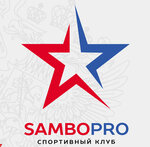 Sambopro (Molodyozhny bulvar No:3/2), spor kulüpleri  Ufa'dan
