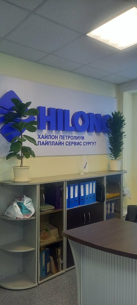 Petrol sondaj ekipmanları Хайлон Петролиум Пайплайн Сервис, Surgut, foto