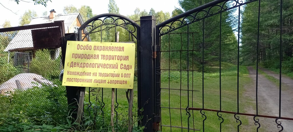 Kültür ve eğlence parkları дендрарий СевНИИЛХ, Arhangelskaya oblastı, foto