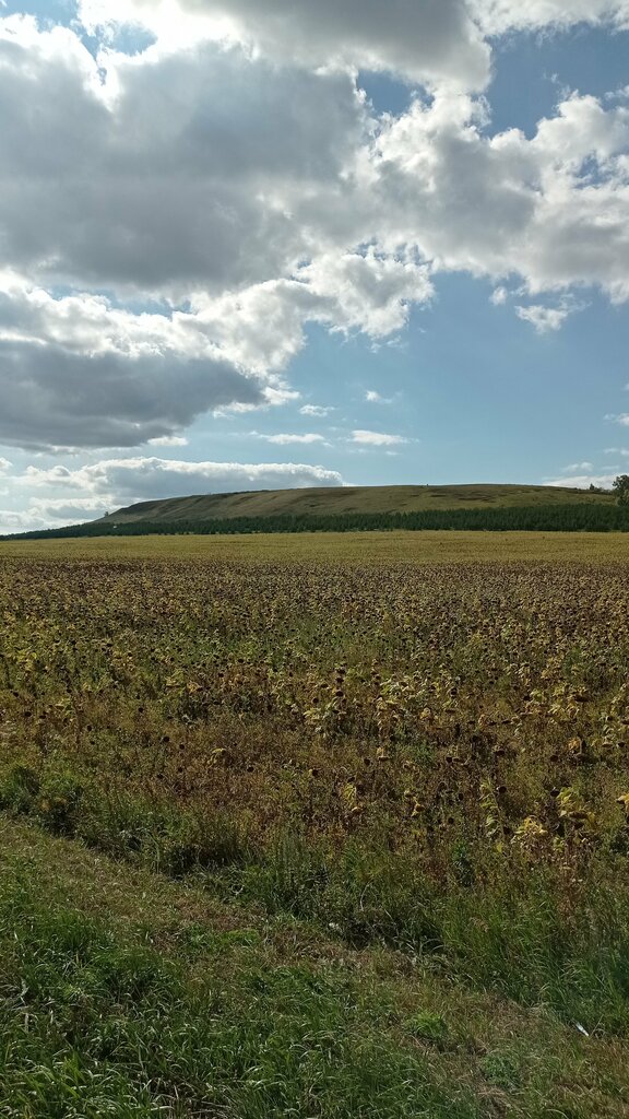 Dağ zirvesi Гора Белова, Tataristan, foto