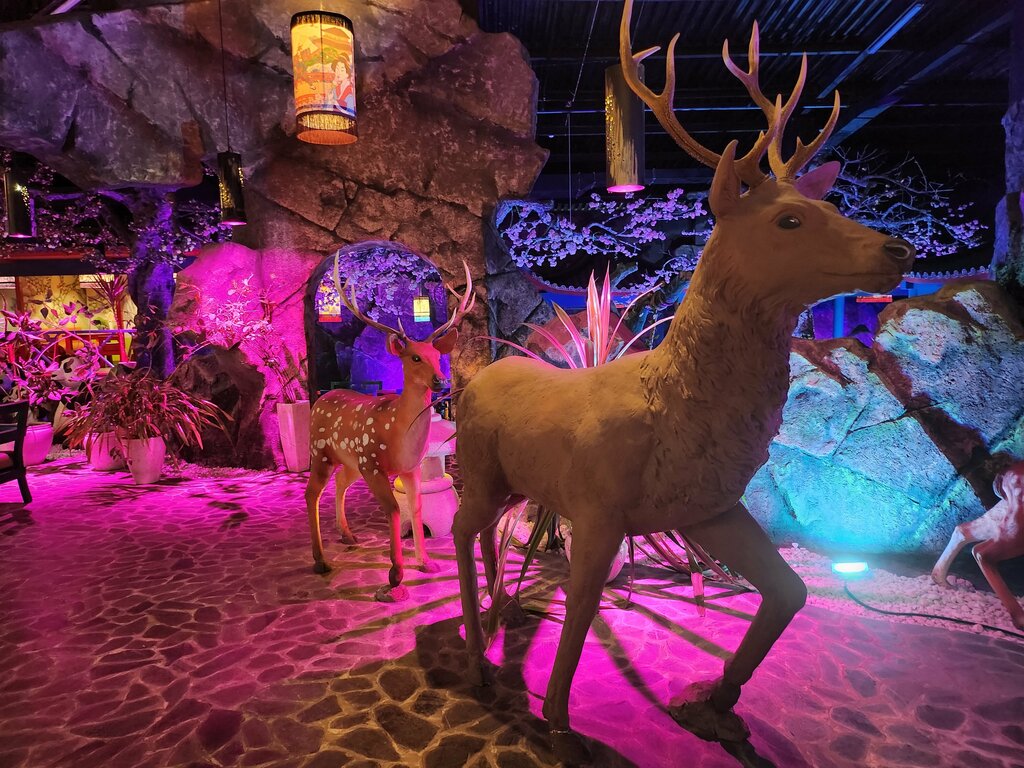 Restoran Mega Izakaya, Nahodka, foto