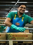 Del Monte Fresh Market Catering (2, 3 Street, Ras Al Khor Industrial 3, Ras Al Khor, Dubai), toptan gıda mağazaları