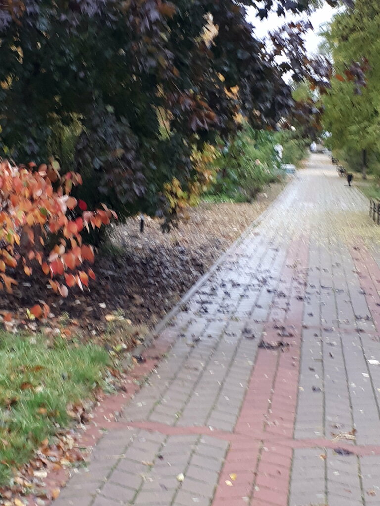 Kültür ve eğlence parkları Парк культуры и отдыха имени Ленина, Biryuch, foto