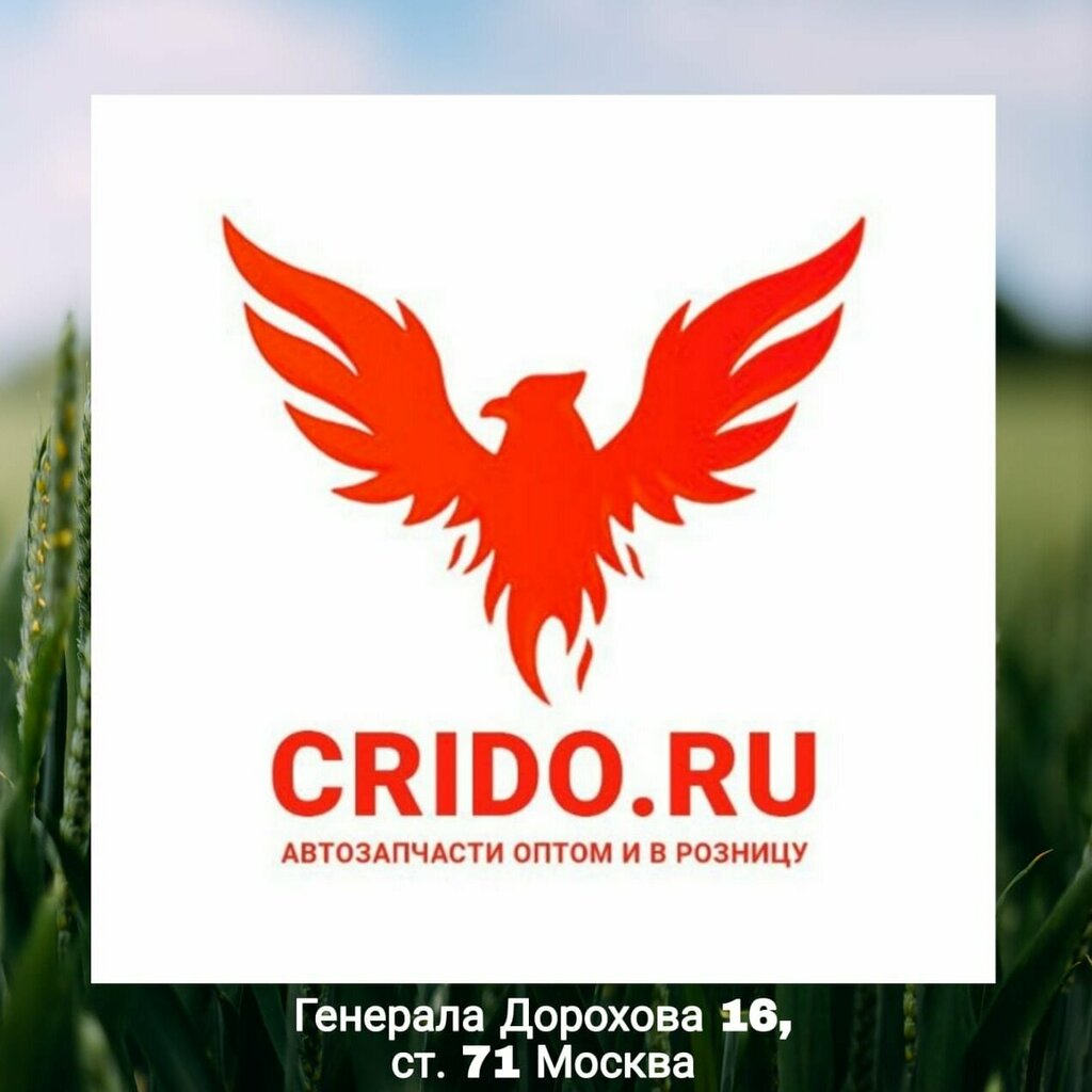 Otomobil yedek parçaları Crido Запад, Moskova, foto