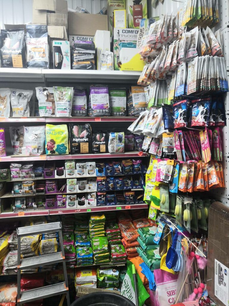 Petshop Dovsh, Grozni, foto