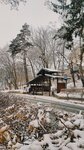 Улица Карла Маркса (Kaliningrad Region, Svetlogorsk, Kaliningradskiy Avenue), toplu taşıma durağı  Svetlogorsk'tan