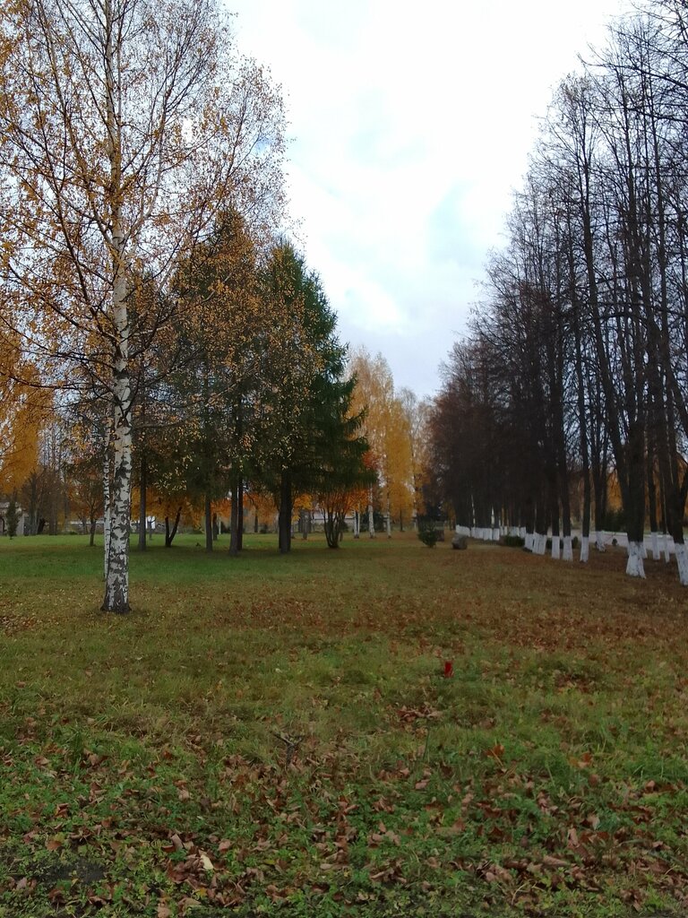 Anıt, heykel Мемориал "Книга памяти. Бессмертный полк", Saint‑Petersburg ve Leningradskaya oblastı, foto