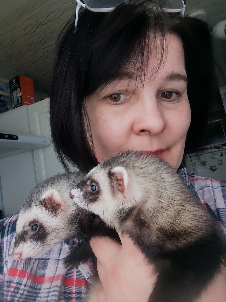 Petshop Zooroom, Yuryev‑Polski, foto