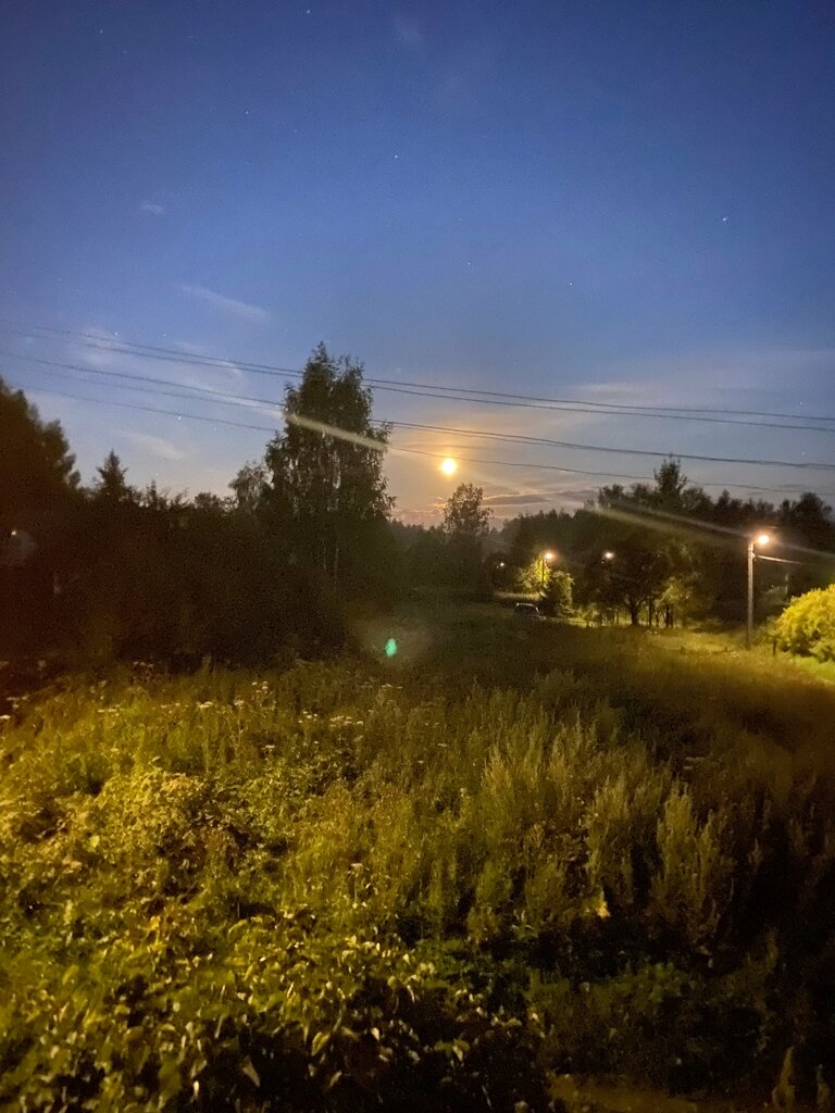 Bahçecilik dernekleri ve kuruluşları SNT Tvorets, Moskova ve Moskovskaya oblastı, foto