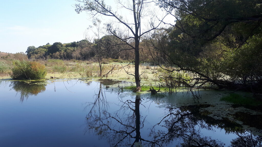 Kültür ve eğlence parkları Урочище "Усадьба Дениса Давыдова", Orlovskaya oblastı, foto