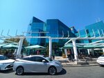 Сочинские ярмарки (Moskovskaya Street No:3к5, Tsentralniy Microdistrict), fuarcılık firmaları  Soçi'den