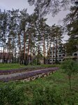 Sosnovyibor.com (Qostanaı oblysy, Altynsarın aýdany, Marıam Hákimjanova atyndaǵy aýyldyq okrýgi, Sherbakov aýyly), resort oteller, tesisler  Kostanay eyaletinden