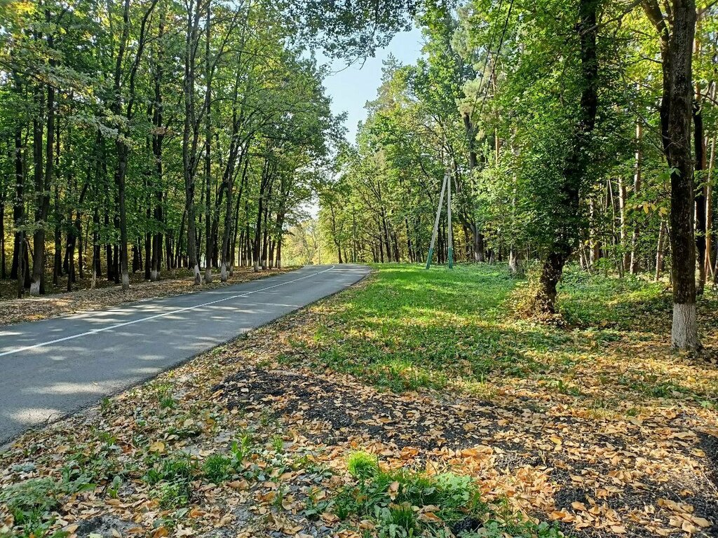 Orman урочище Должик, Belgorodskaya oblastı, foto
