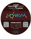 Molekula_smart (Zavidnaya Street No:11), çocuk gelişim merkezleri  Vidnoye'den