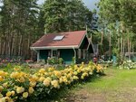 DutchStudioCottage (Izgibny proyezd No:4, posyolok Vyazy), otel  Saint‑Petersburg ve Leningradskaya oblastından